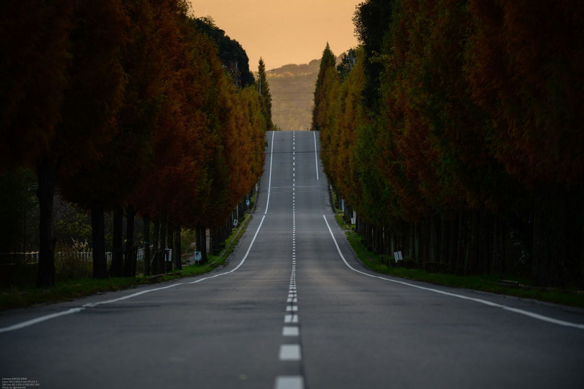 Long Distance | GANREF