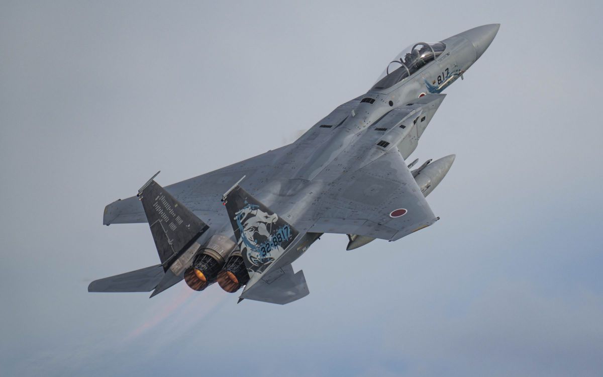 FIGHTING DRAGON | GANREF