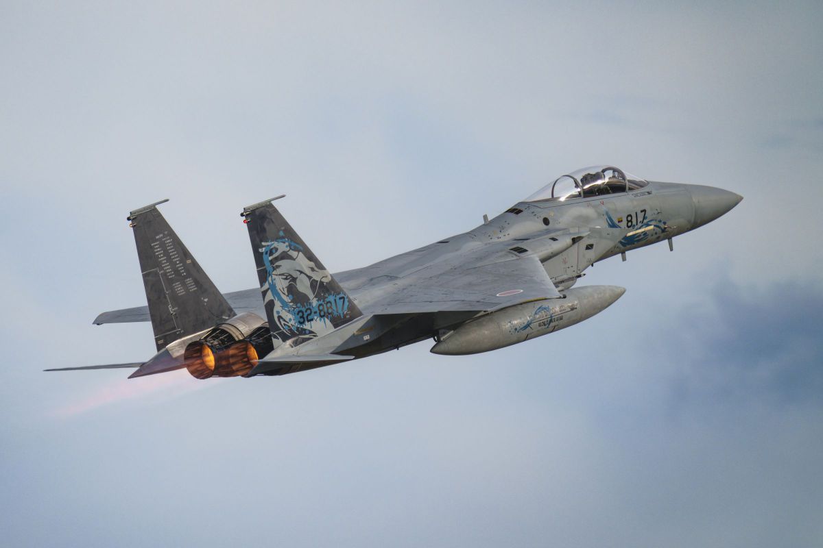 FIGHTING DRAGON | GANREF