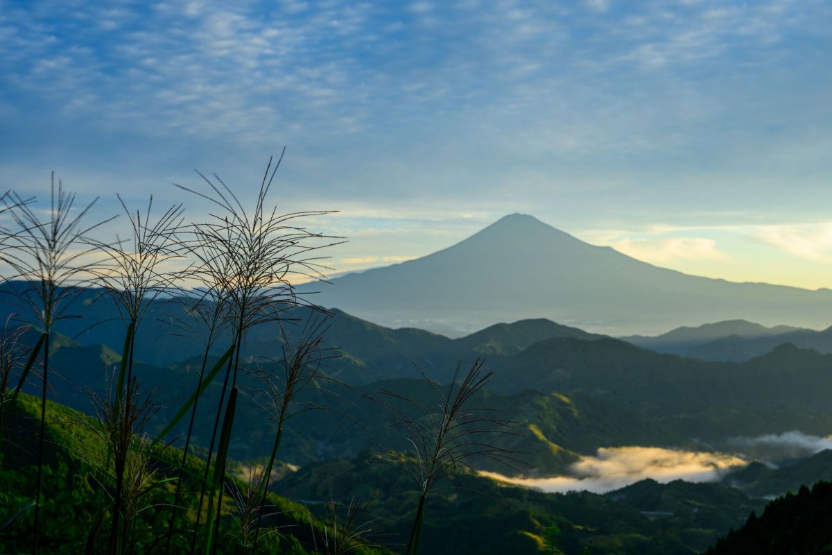 Mt Fuji at Yosiwara V-1424 | GANREF