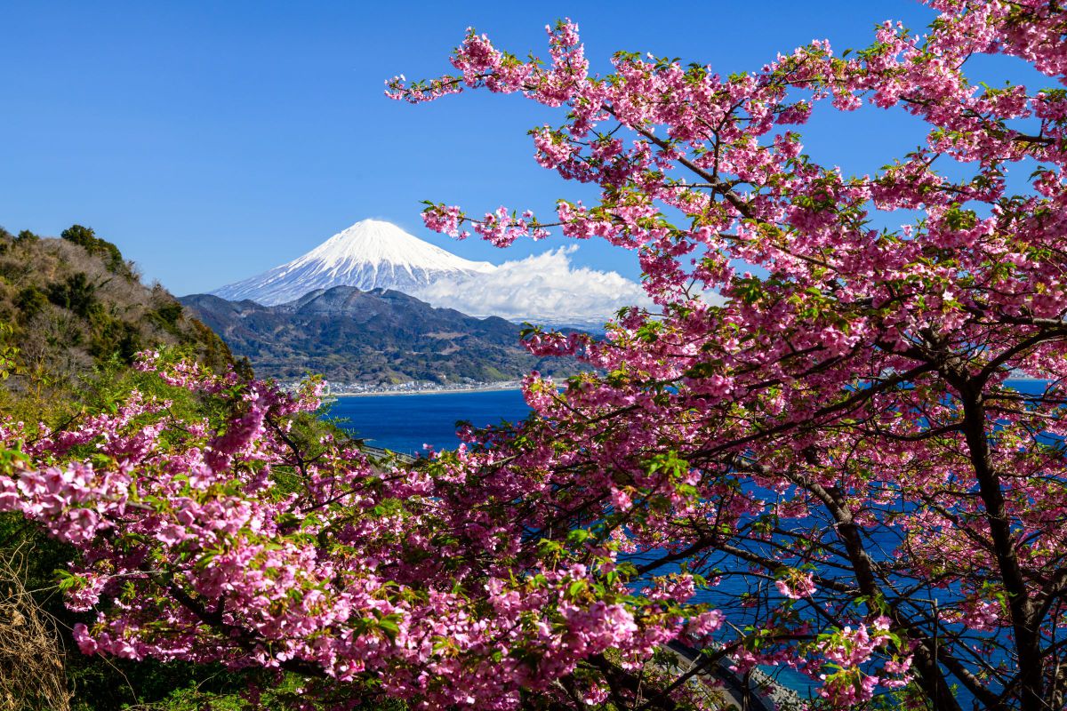 Satta Pass-9891 | GANREF