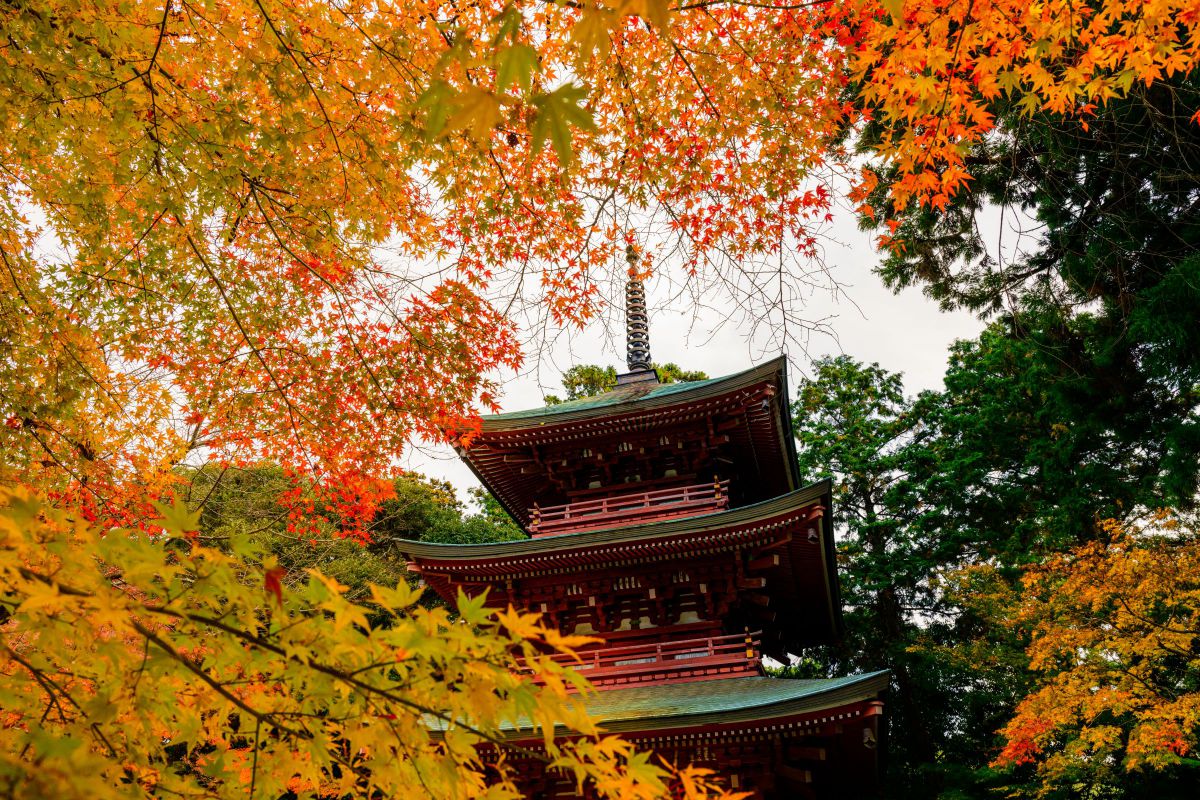 Yusanji Temple-5125 | GANREF