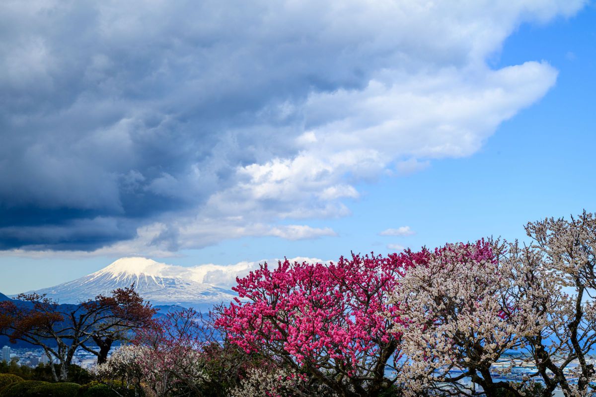 Mt Fuji at Hotel Nipondaira-0230 | GANREF
