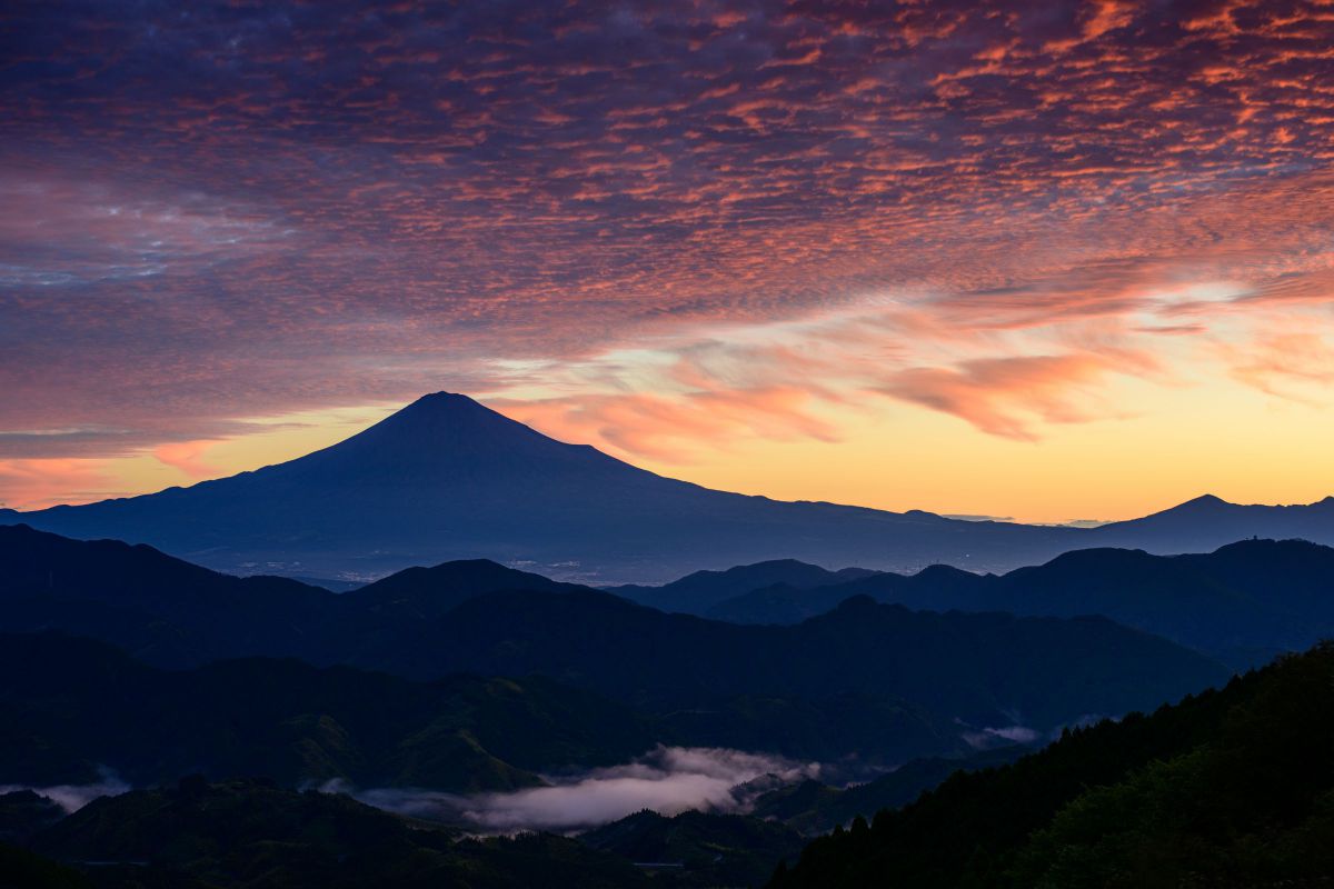 Mt Fuji at Yosiwara V-1371 | GANREF