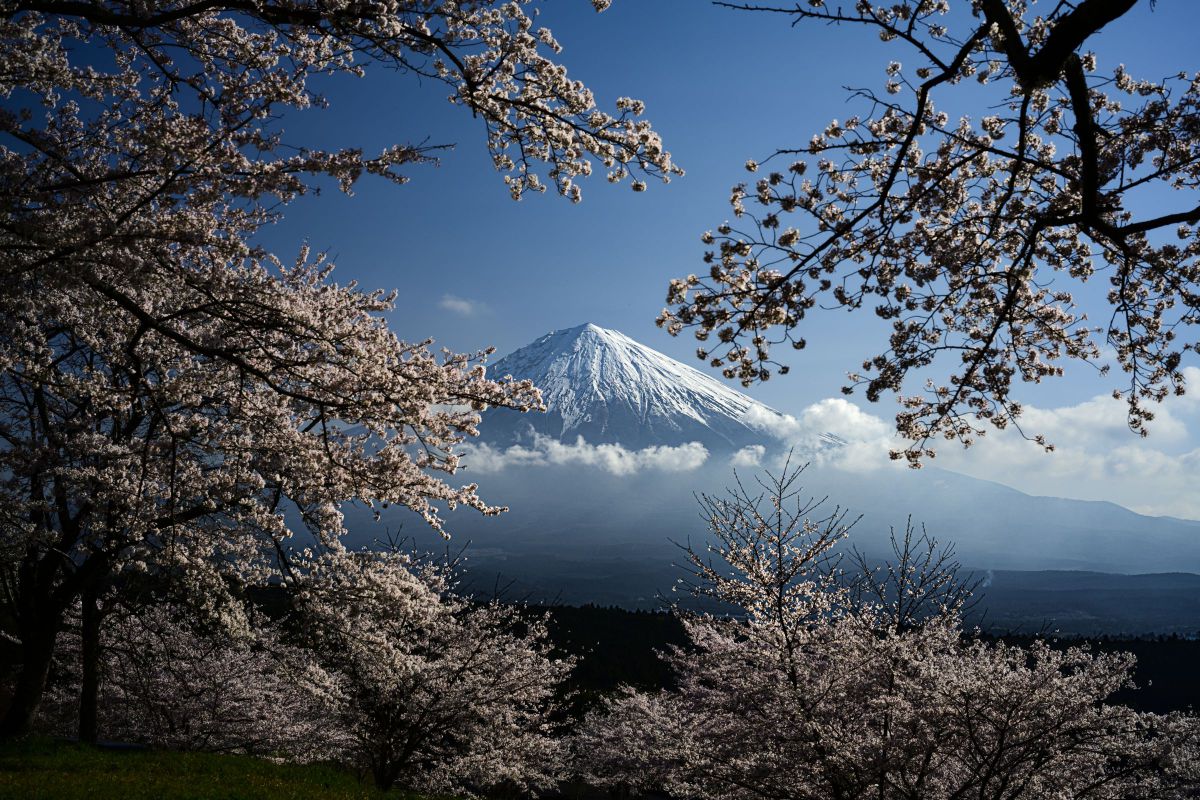 Temple Taisekiji-9270 | GANREF