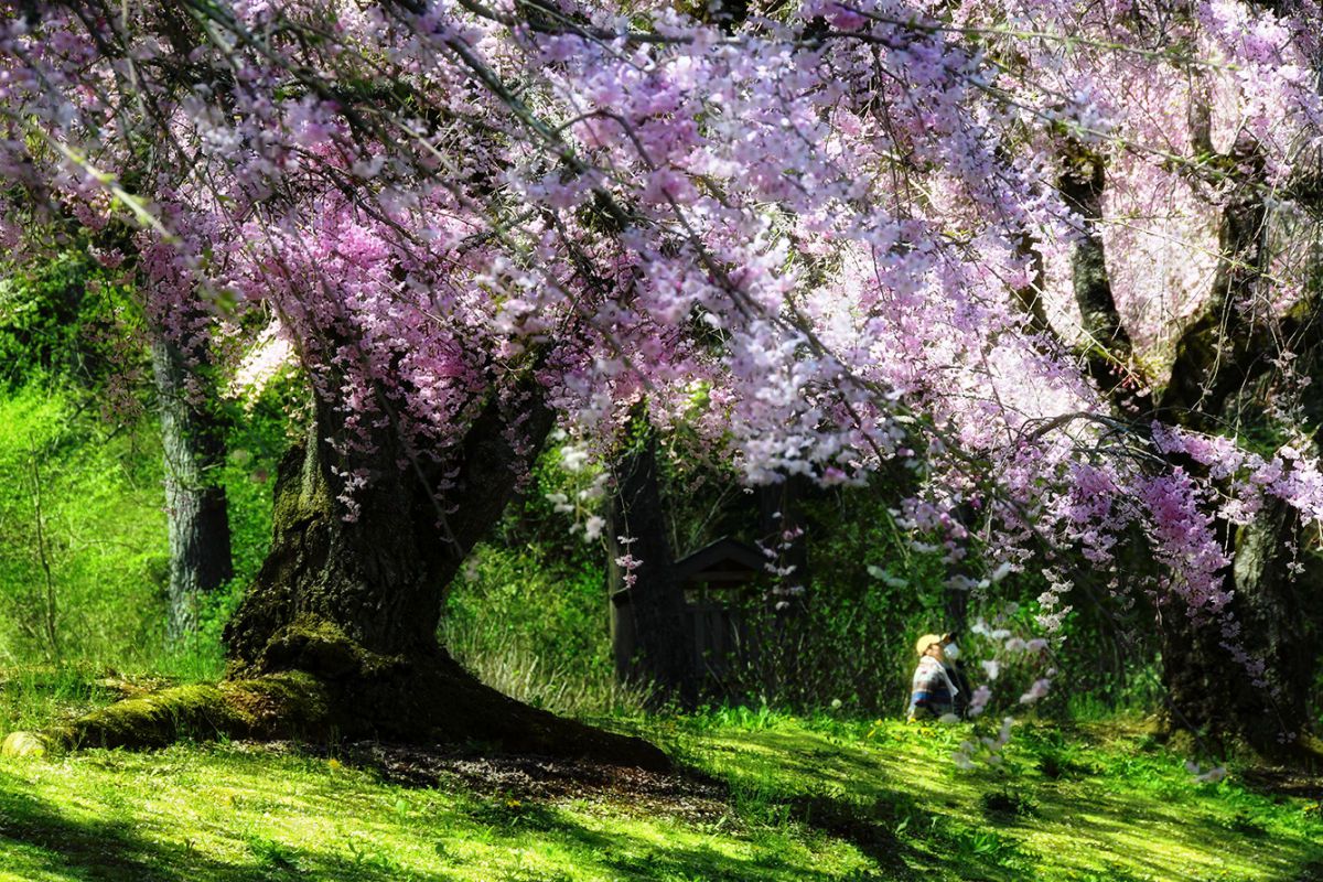 M2S_7991 ssコピー.jpg | GANREF