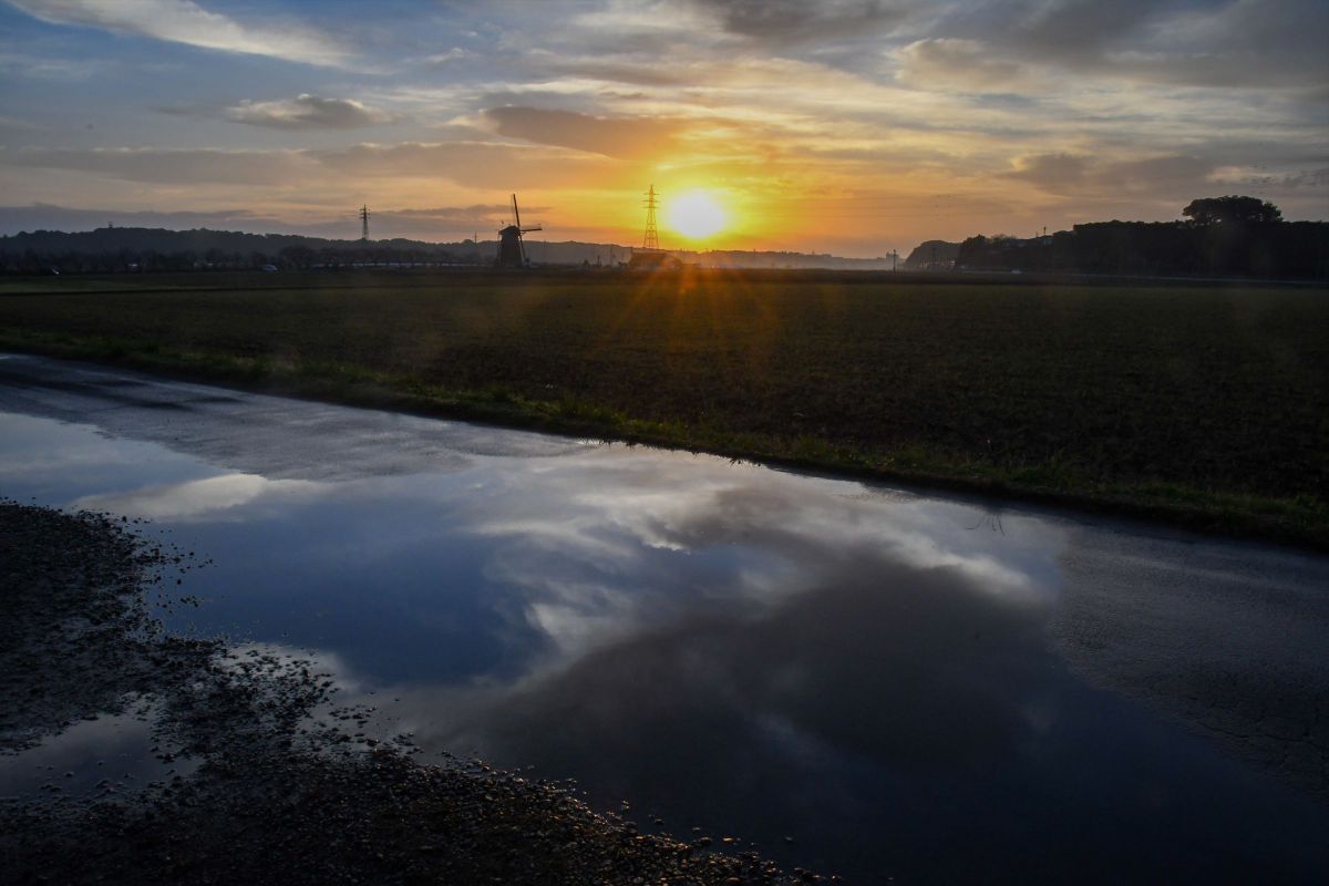 M2S_0813 のss.jpg | GANREF