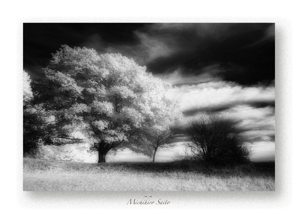 DSC_1699 のコピーxx のコピー.jpg | GANREF