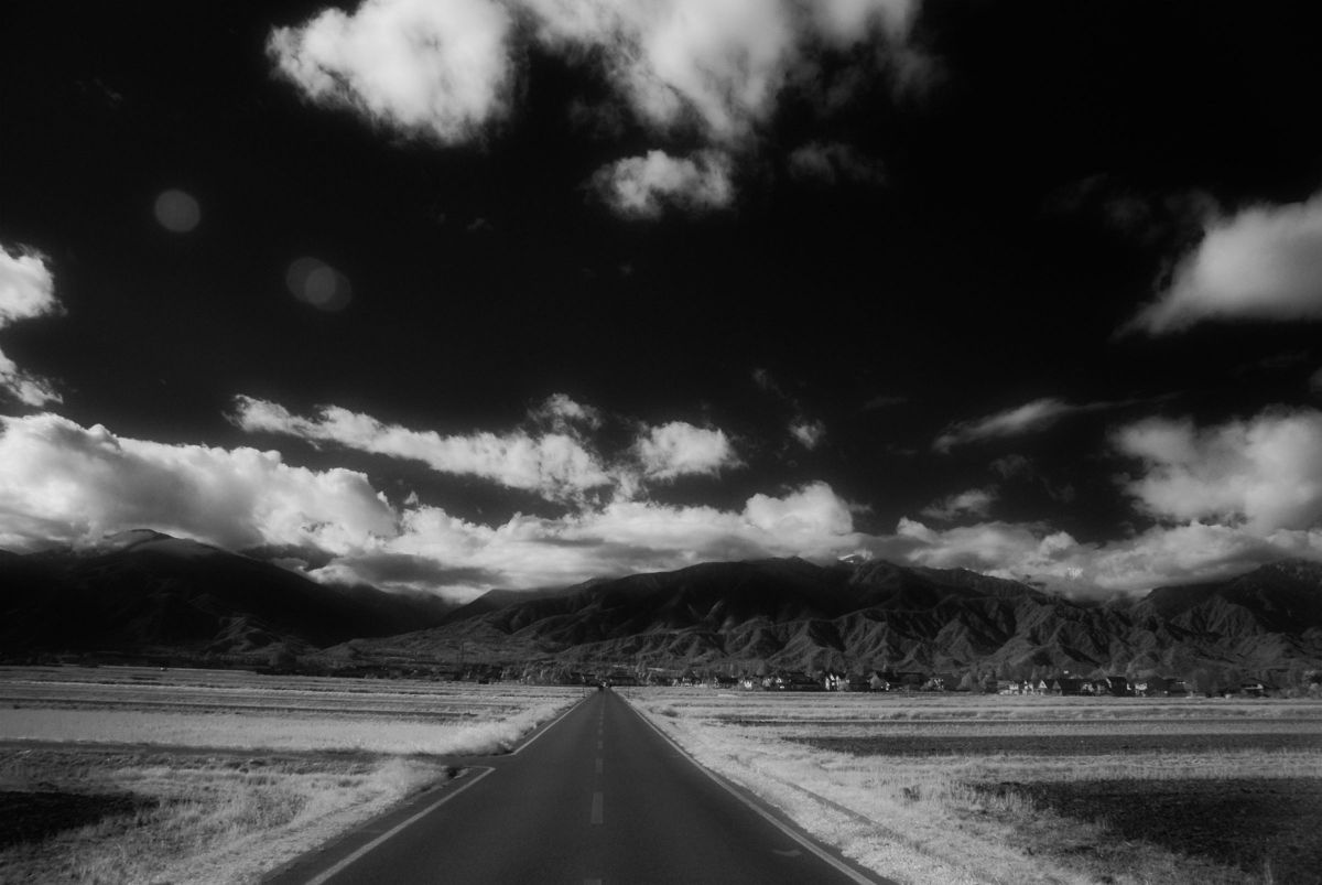 DSC_1880 のInfrared.jpg | GANREF