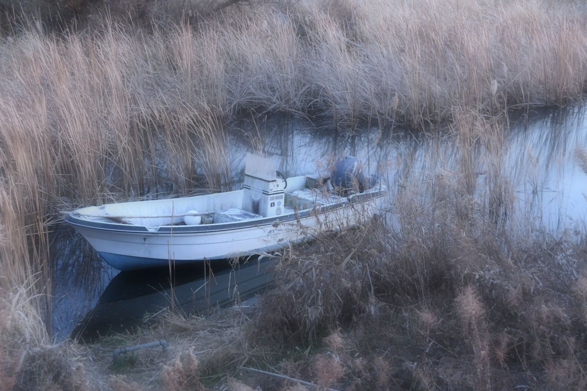 M2S_2514 のss.jpg | GANREF