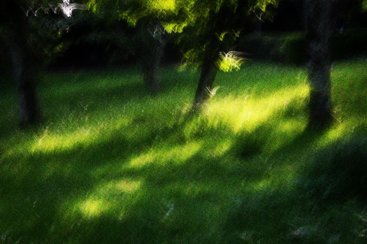 M2S_5393 のコピーss.jpg | GANREF