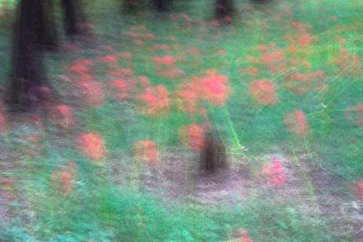 IMG_0880 のss.jpg | GANREF