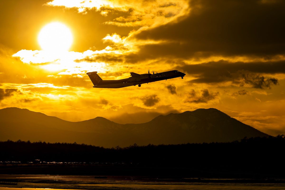 North Light | GANREF