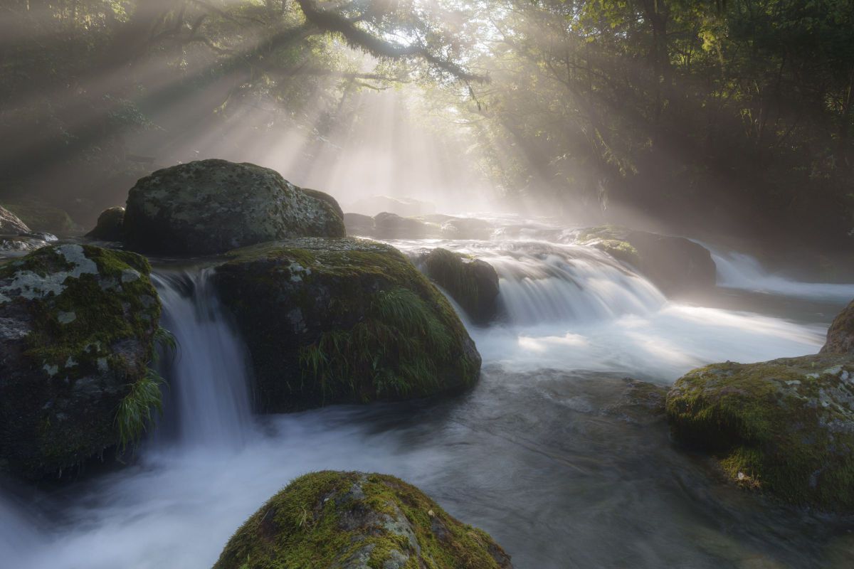 Veil of Light | GANREF