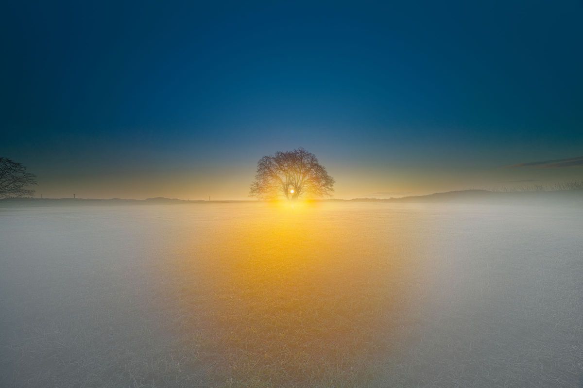 Warm Regards | GANREF