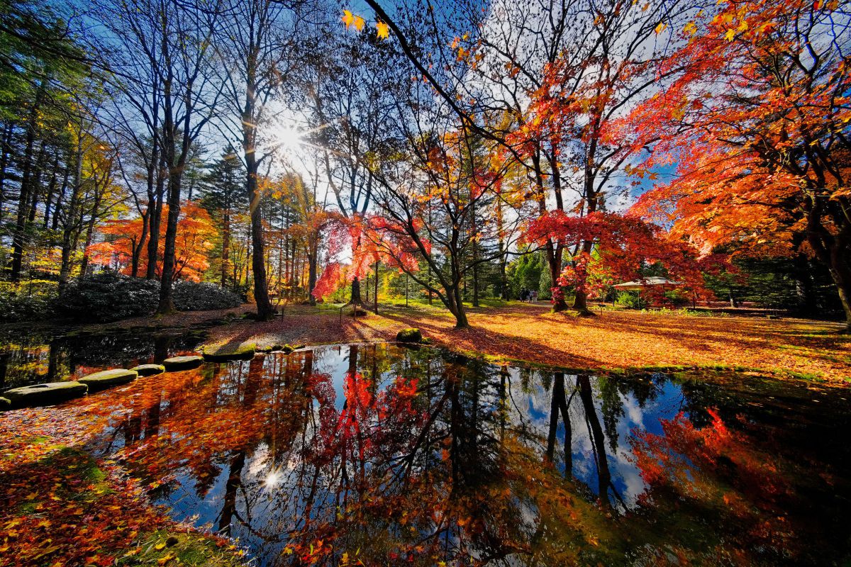 Noon in Autumn | GANREF