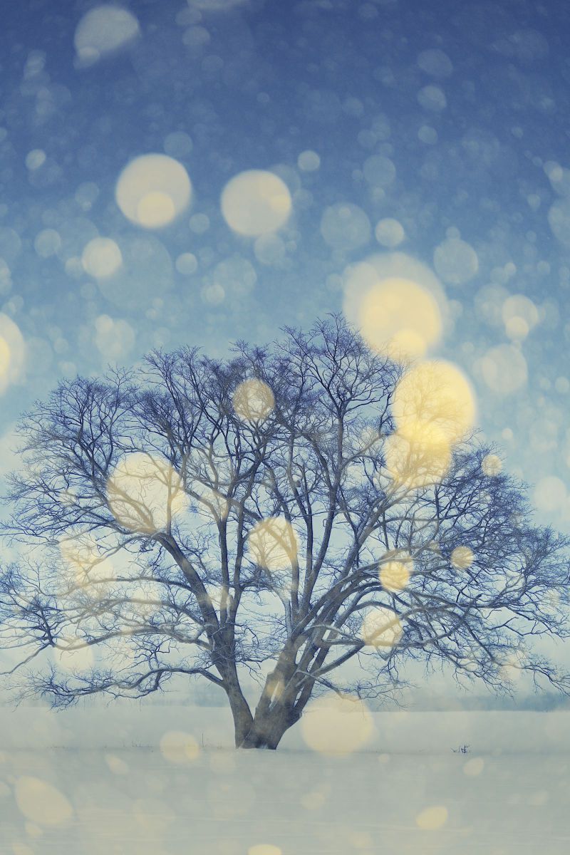 Lingering Snow Ⅱ | GANREF