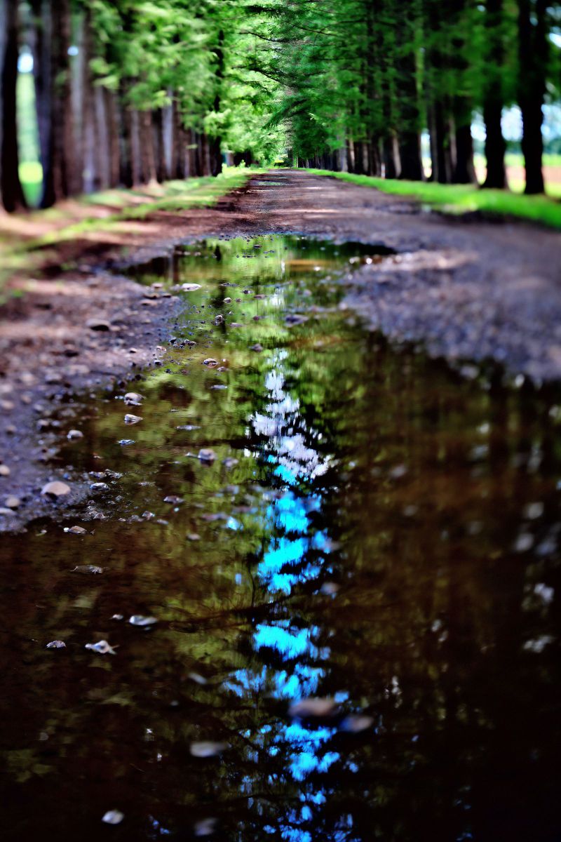 雨上がりの青空 | GANREF