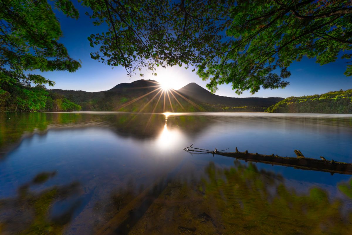 夜明けのうた | GANREF