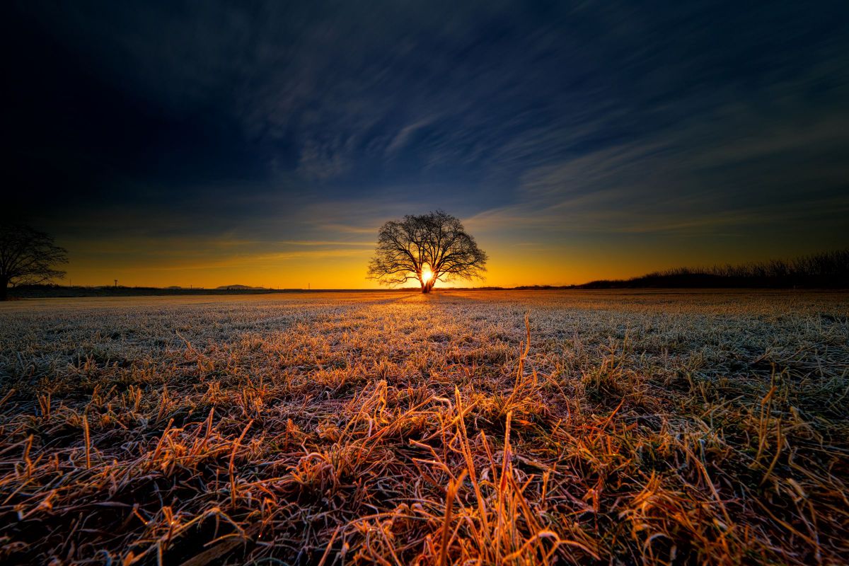 The Day Will Dawn | GANREF