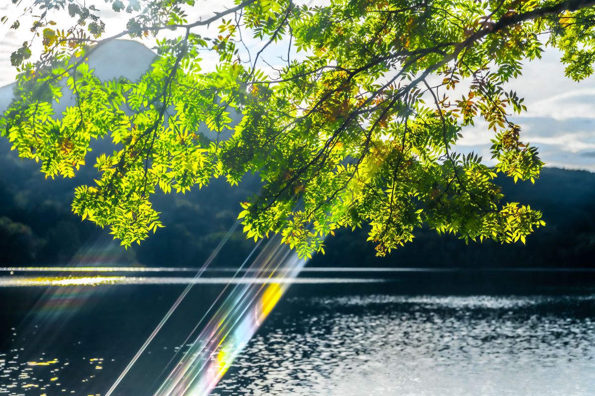 Coming Colours in the Air Ⅱ | GANREF