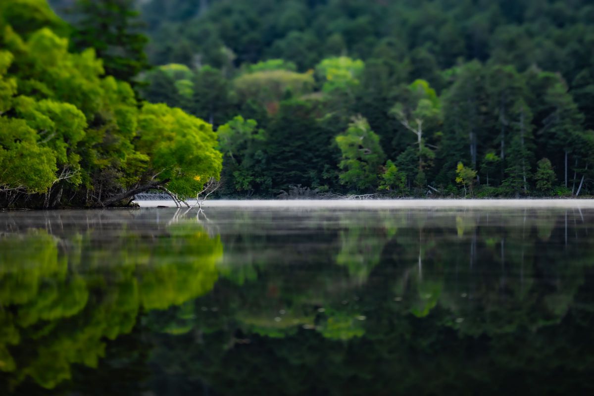 幽玄の朝 其の弐 | GANREF