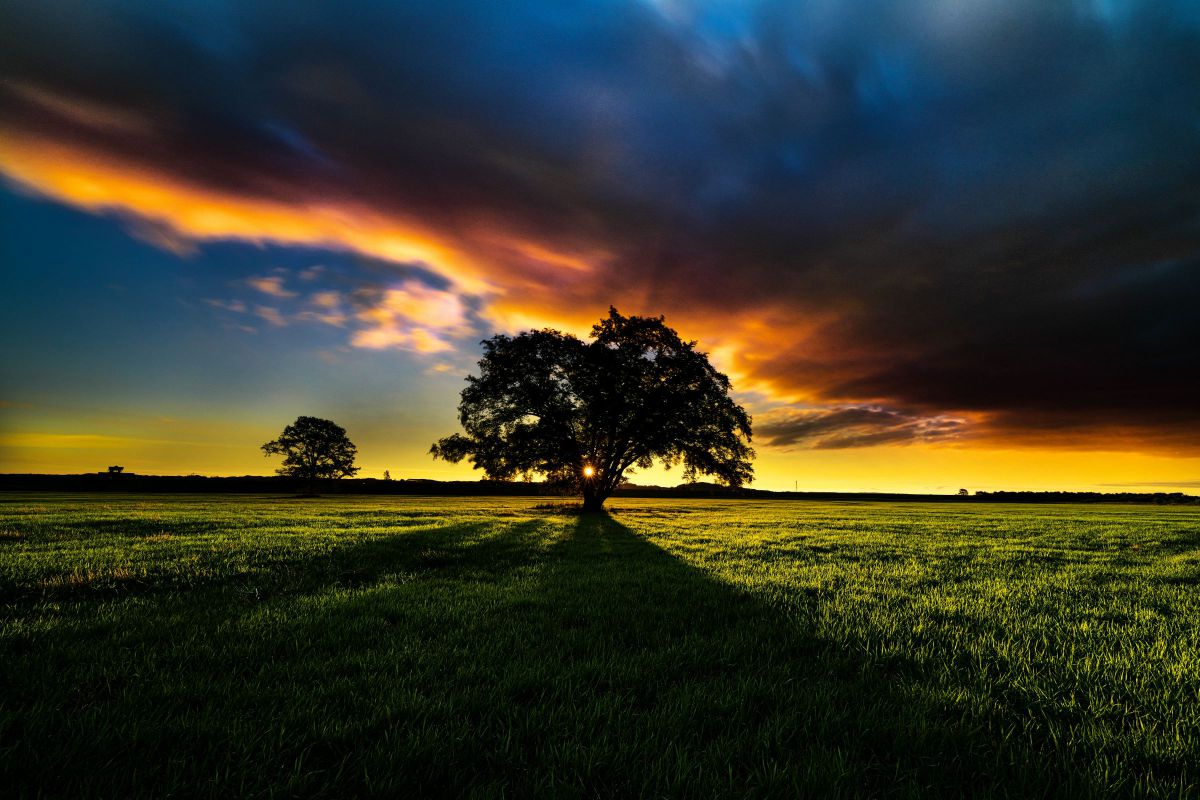 Every Cloud Has A Gold Lining | GANREF