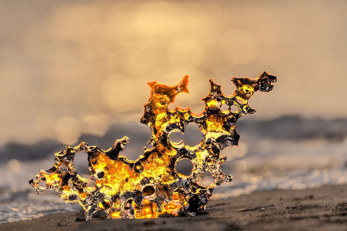 渚のUnknown | GANREF