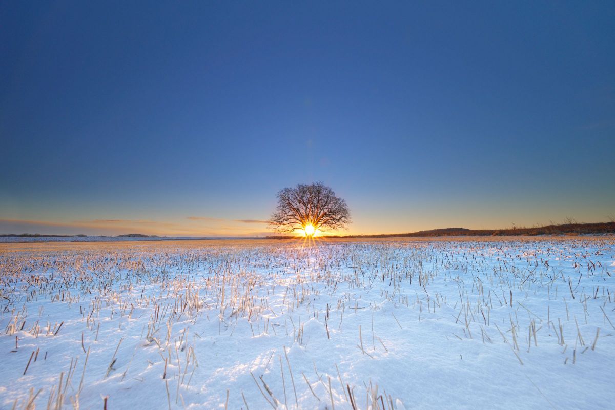 Beginning of Winter Ⅱ | GANREF