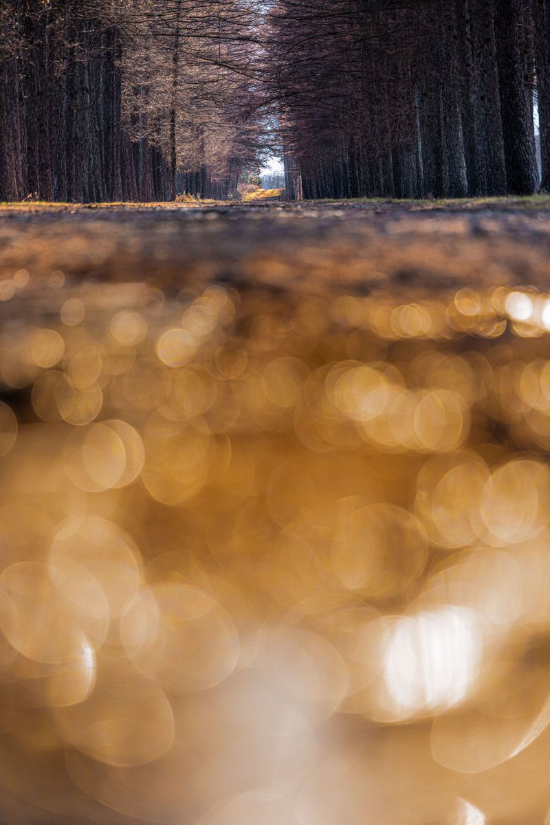 冬の匂い | GANREF