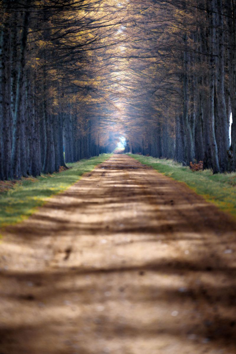 Unforgettable Trail | GANREF