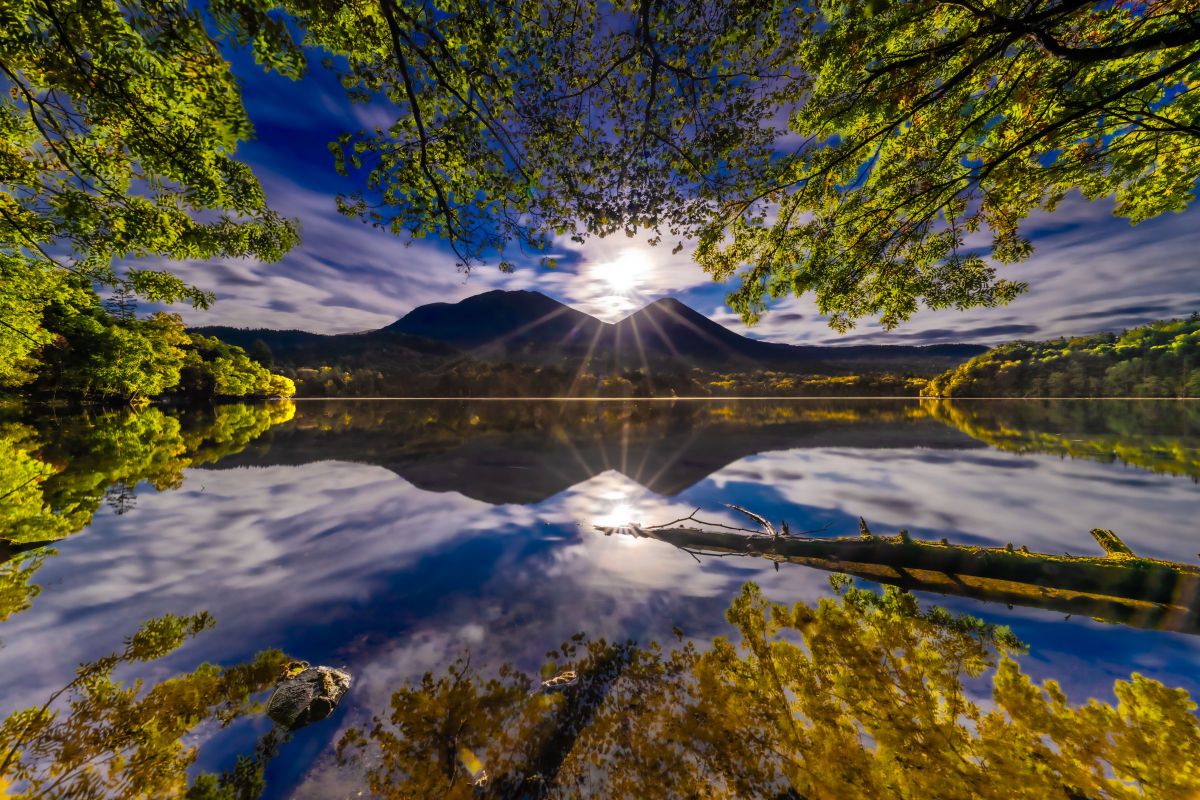 All Around Me | GANREF