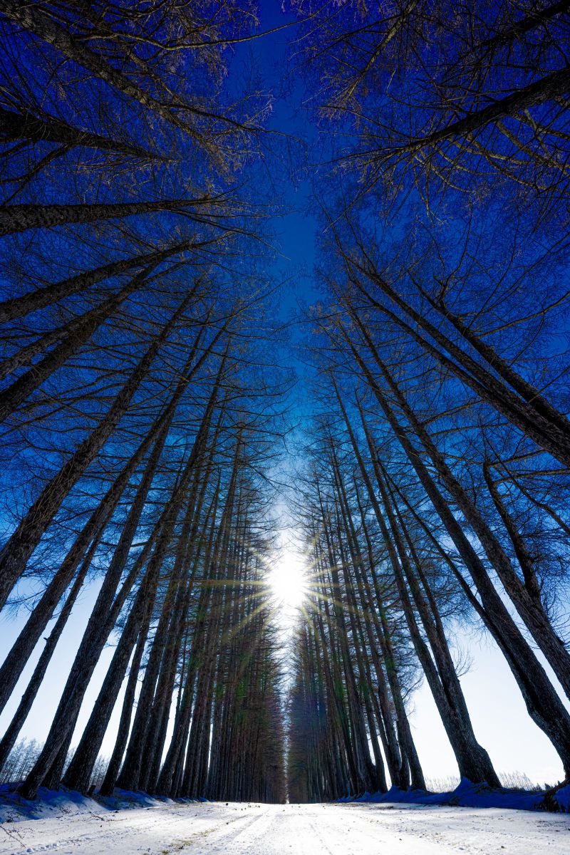 BLUE SKY BLUE | GANREF