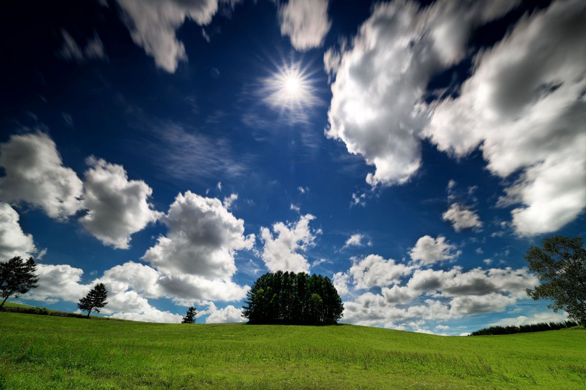 Summer Winds | GANREF