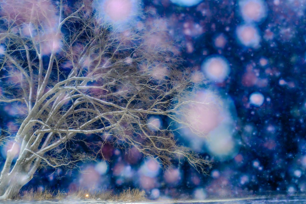 Was It Just A Dream ? | GANREF