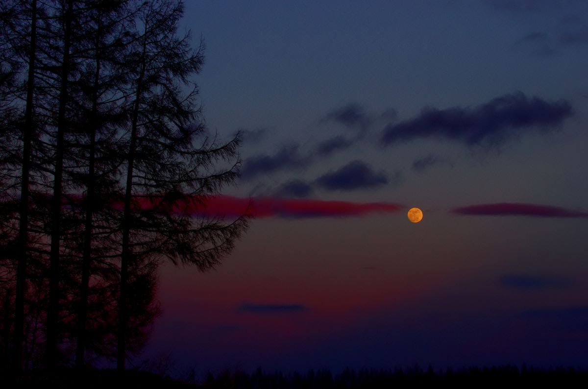 【K-5 レビュー my first PENTAX】 04.Mr.Moonlight | GANREF