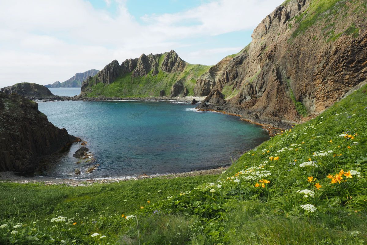 20240619礼文島にて_11 | GANREF