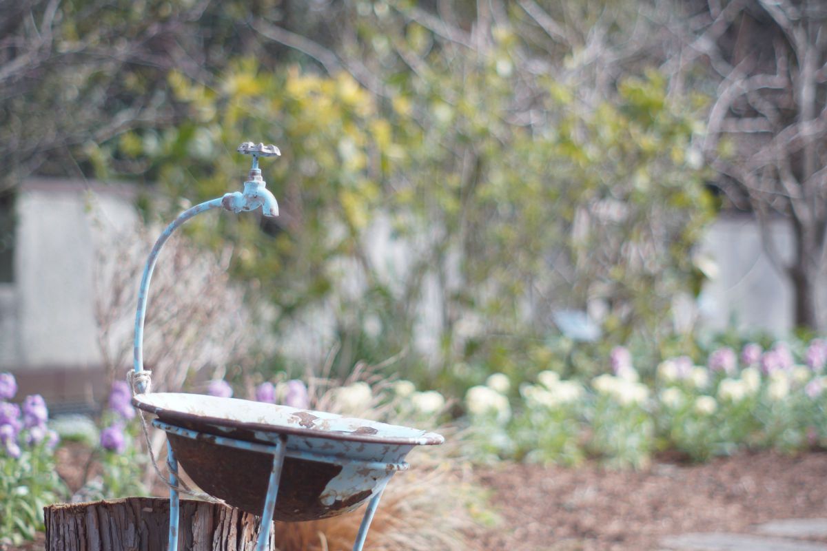 春遠からじ | GANREF