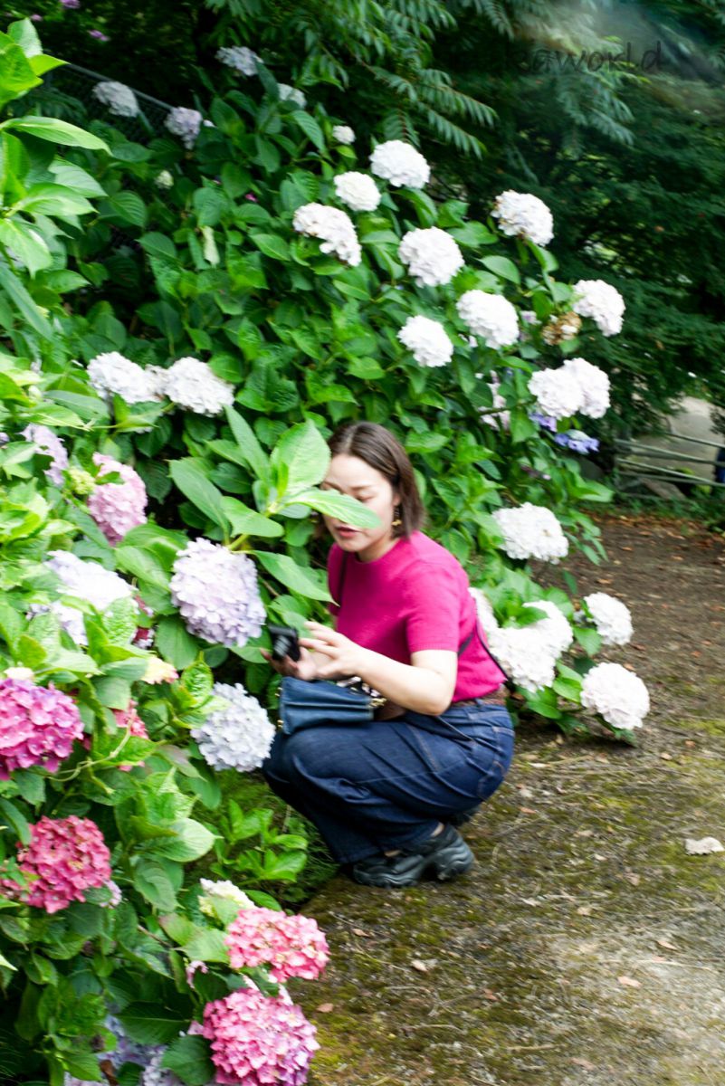 梅雨の終わり | GANREF