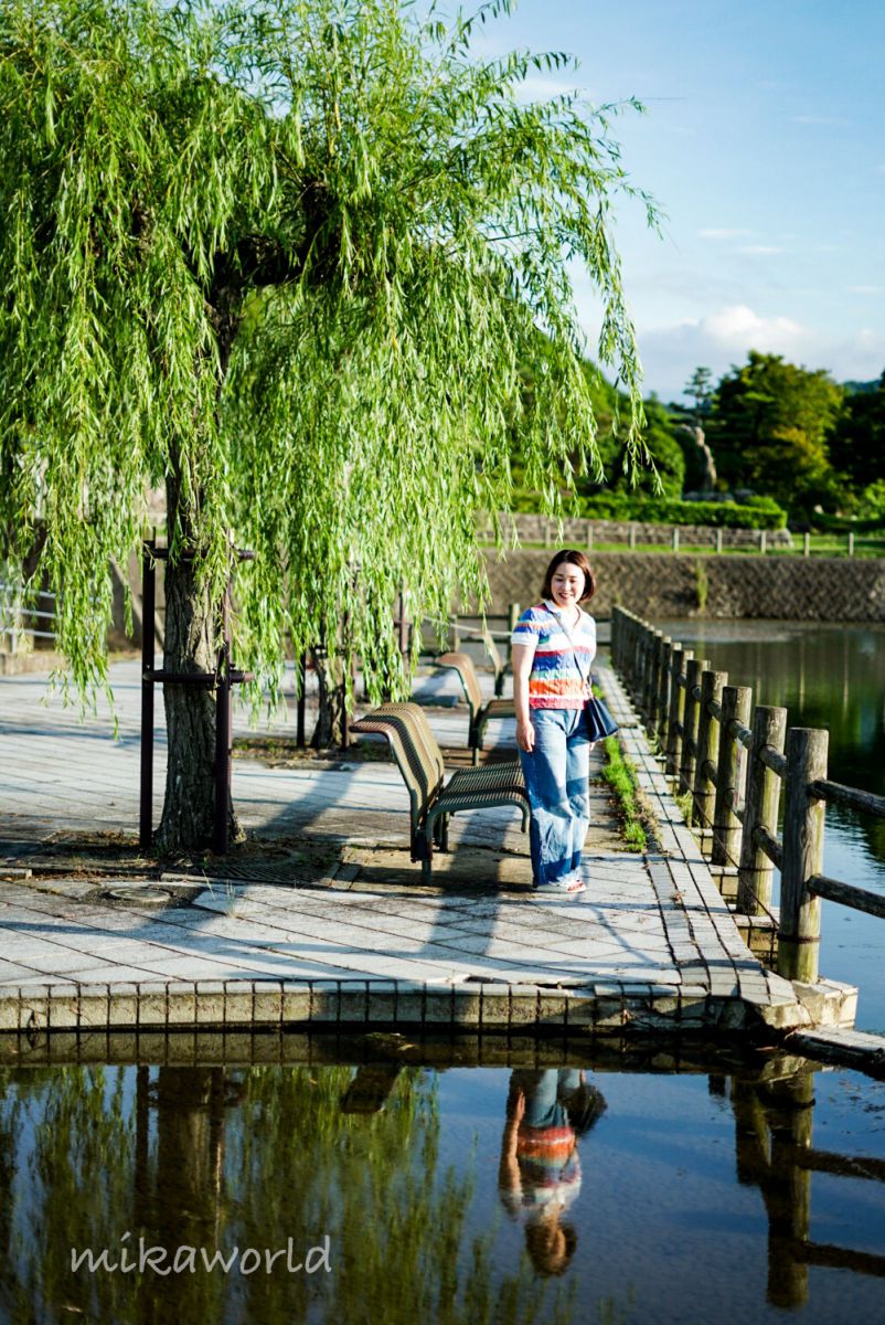 リフレクション | GANREF