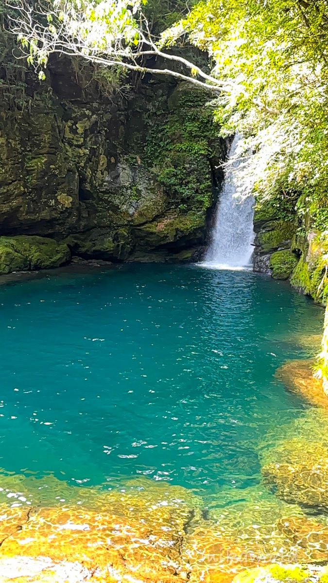 IMG_8017.jpeg | GANREF