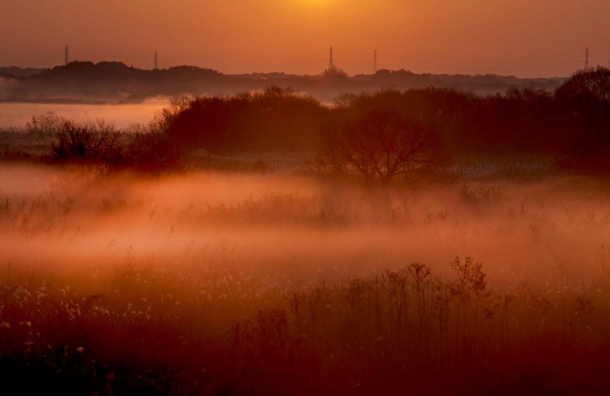 First Watarase | GANREF