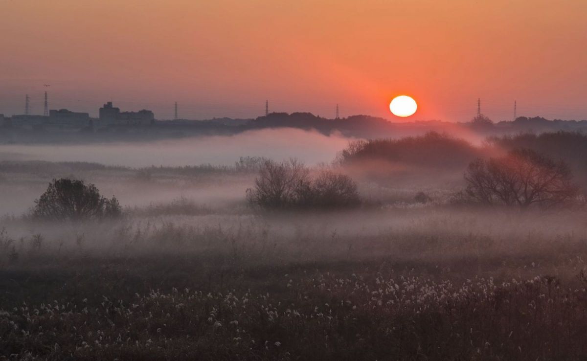 Breaking dawn | GANREF