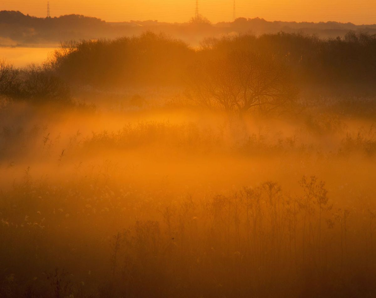 First Watarase Ⅱ | GANREF