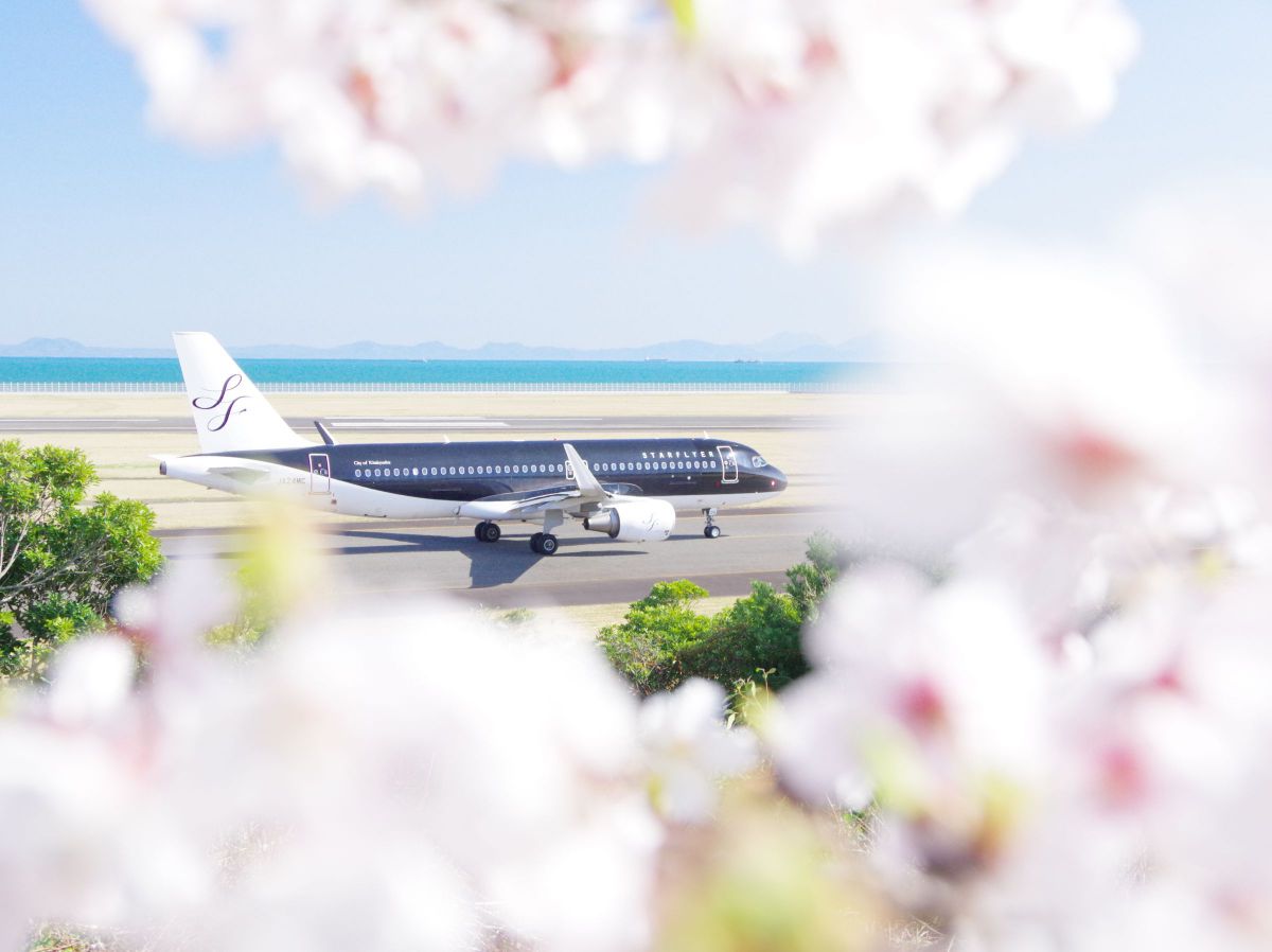 SF「桜フレーム」 | GANREF