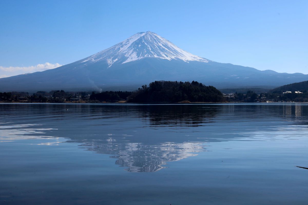 Mt.FUJI | GANREF