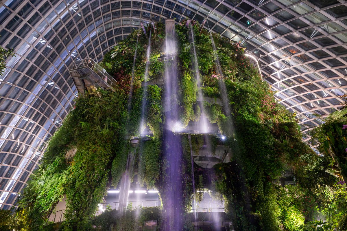 Cloud Forest | GANREF