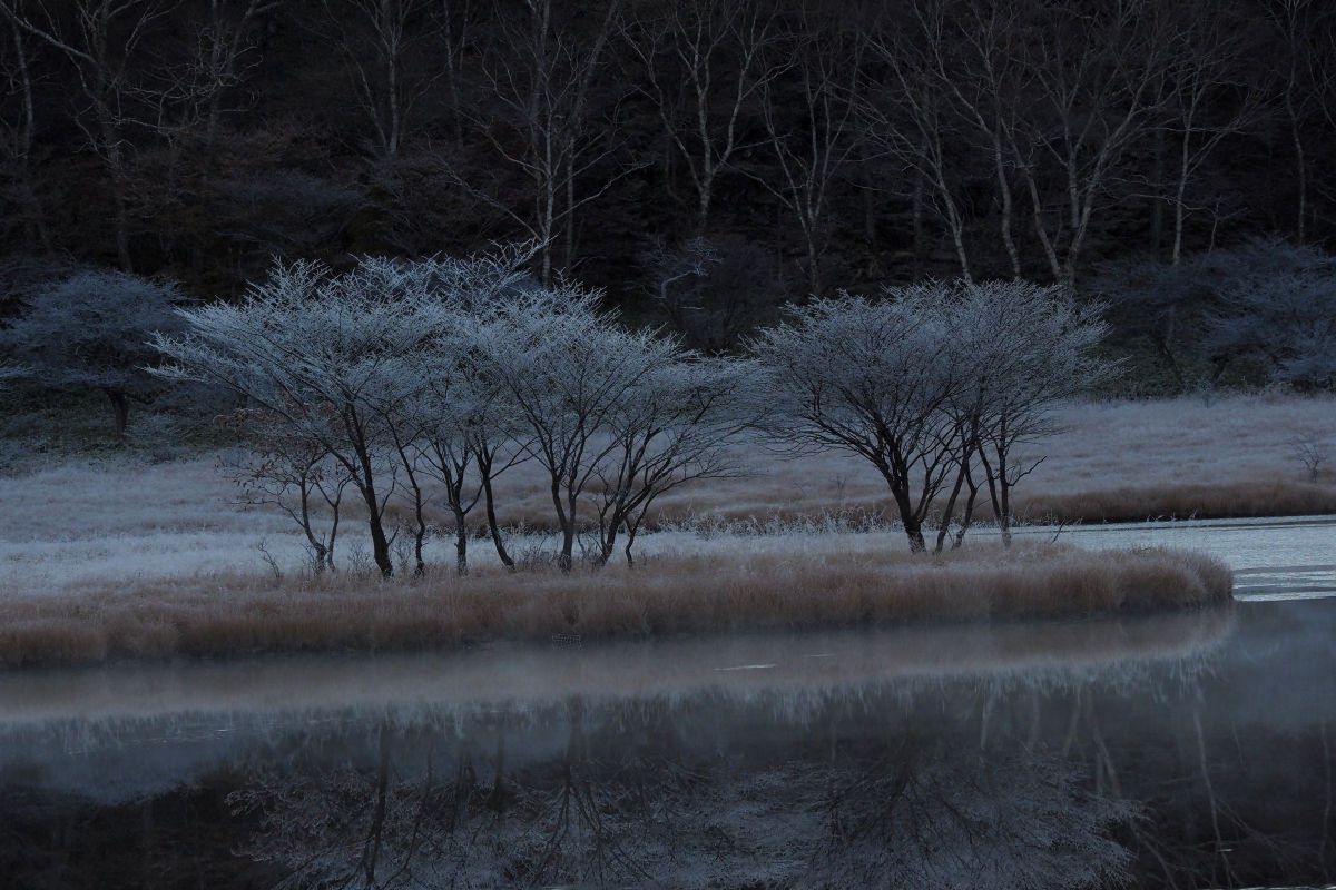 黎明の覚満淵 | GANREF