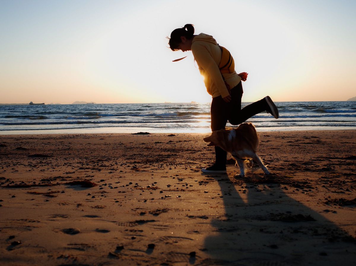 Go through！ | GANREF