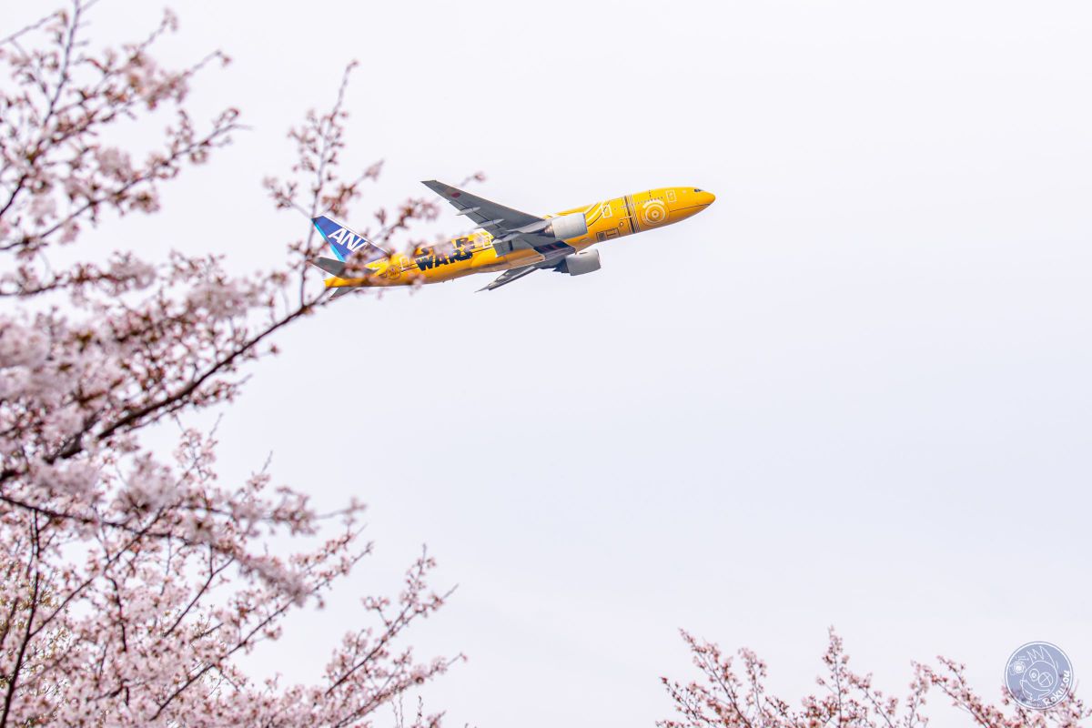 SAKURA🌸JA743A C-3PO ANA JET | GANREF